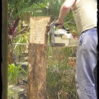 Cardboard Weed Mat - Eco-Friendly Weed Fighting Hack For Gardeners
